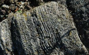 How is Asbestos Formed?